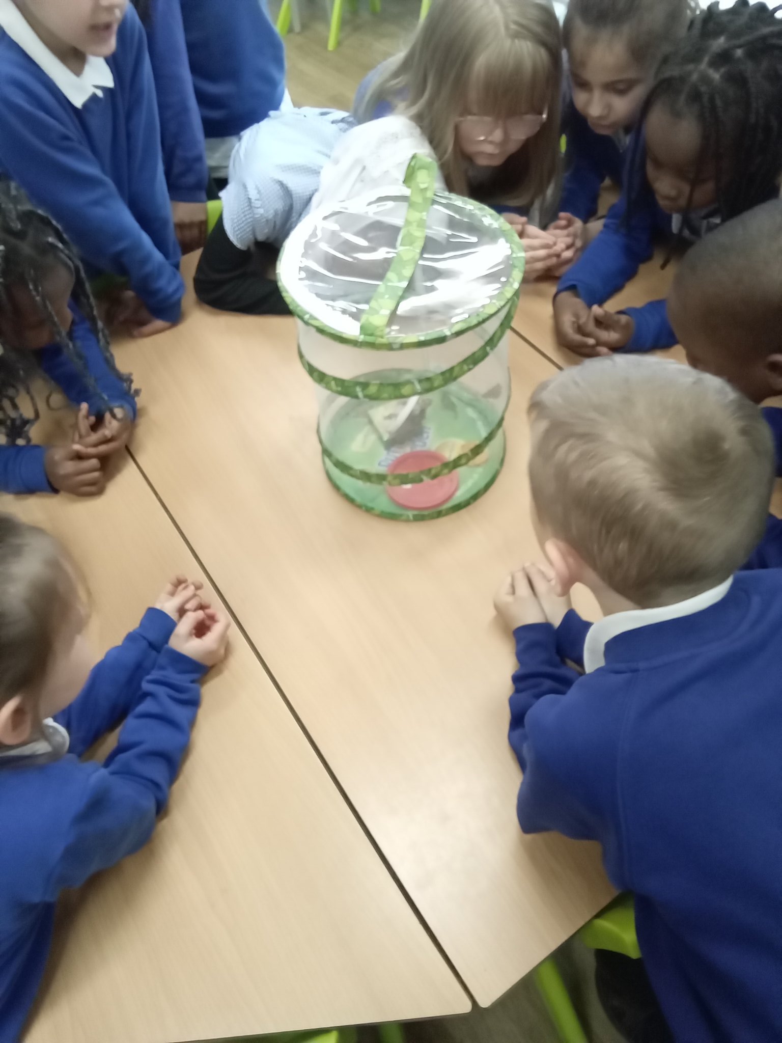 Science - Our Intent - Mersey Primary Academy
